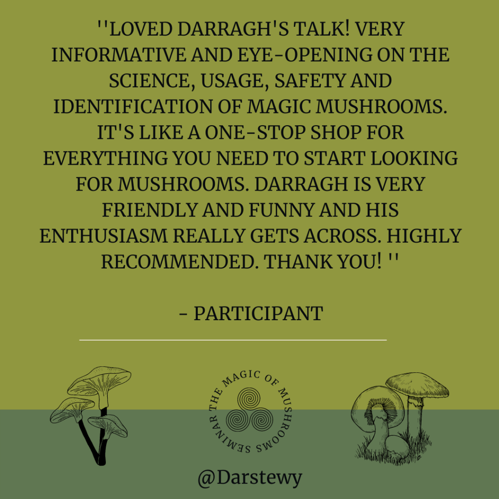 Online Masterclasses – Innerwork with Dr. Darragh Stewart